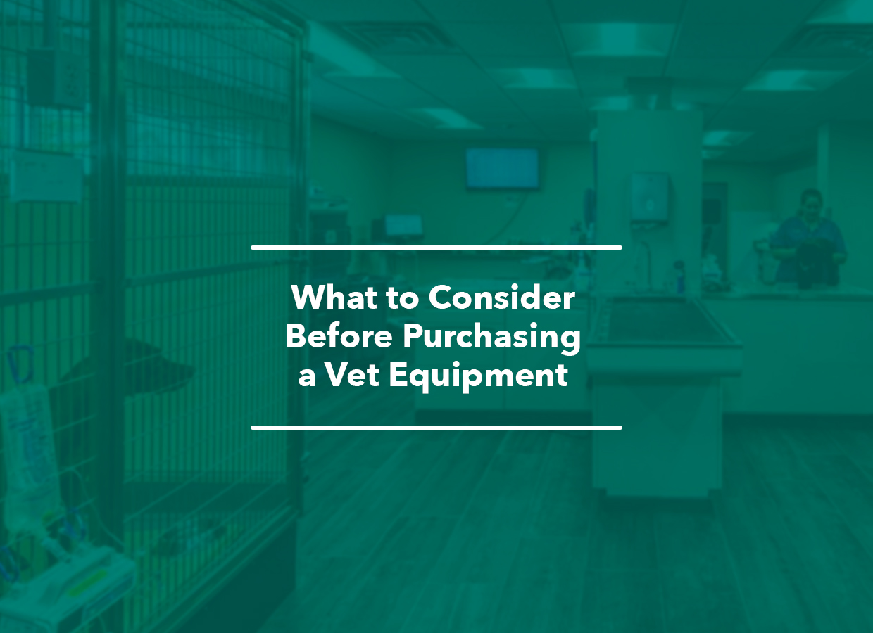What to Consider Before Purchasing a Vet Equipment