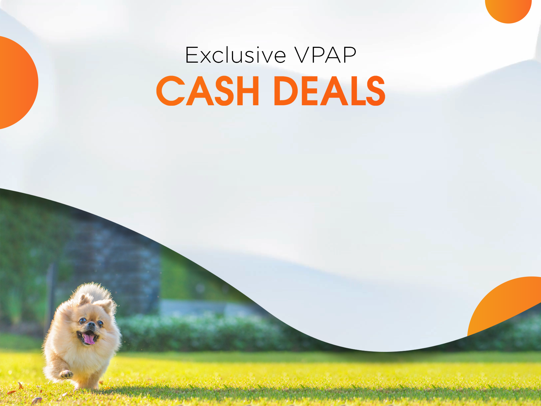 Cash Deals - MAN Pharma at VPAP 2023 - MAN Pharma