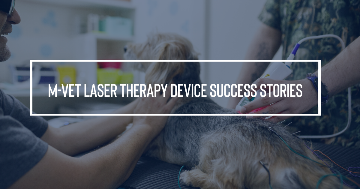 M-VET Laser Therapy Device Success Stories